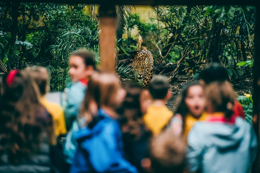 Chester Zoo nets £532k grant to help young people in Chester to create ...