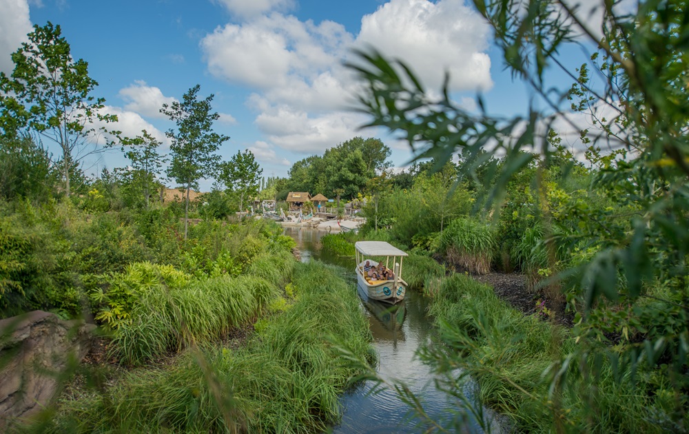 Tripadvisor rankings name Chester Zoo as UK’s best zoo, and third best ...