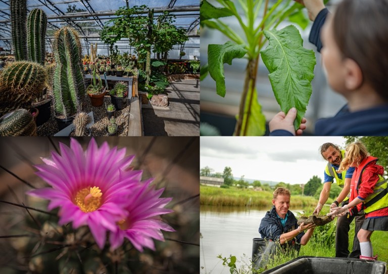 Chester Zoo becomes first UK zoo to gain international botanical garden ...